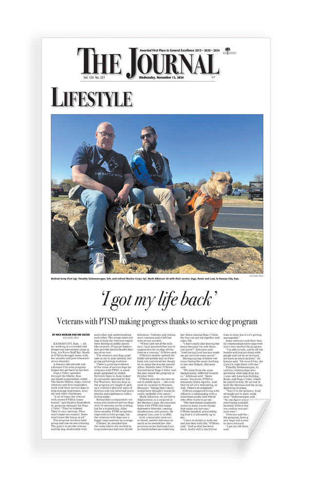 Cling_tall_82d74ed2-adb7-4eac-a586-425ce9a158ff_1200x1200.png?v=1736355711